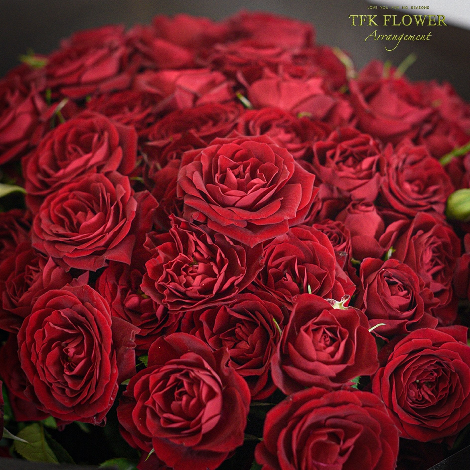 Rosa Spray Rubicon(mini red roses)｜香港花店｜Free Delivery｜TFK Flower｜小玫瑰花束